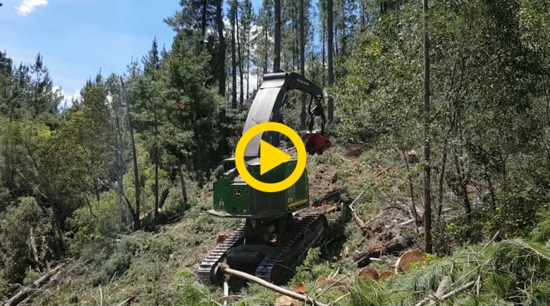 Tracked Harvester – Harvester Forwarder & More